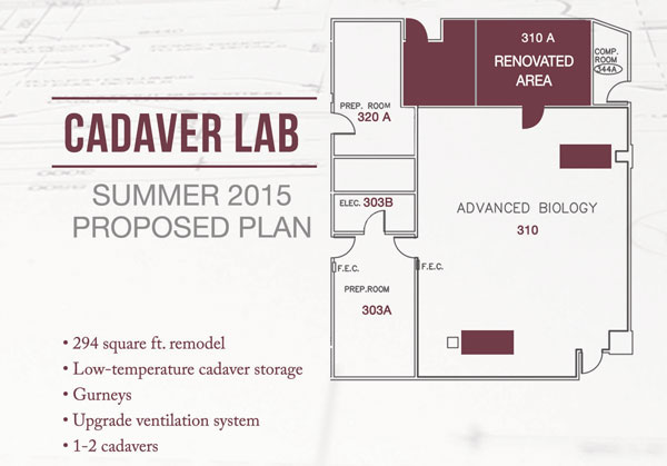 The Quad - November 2015