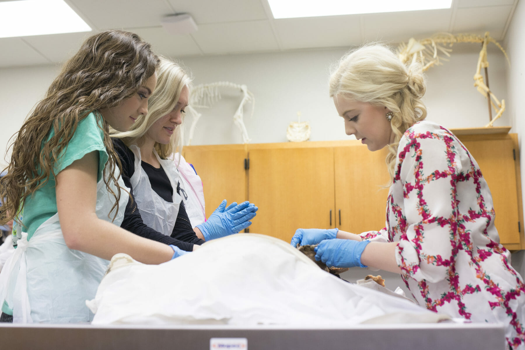 Forensic Science - Evangel University